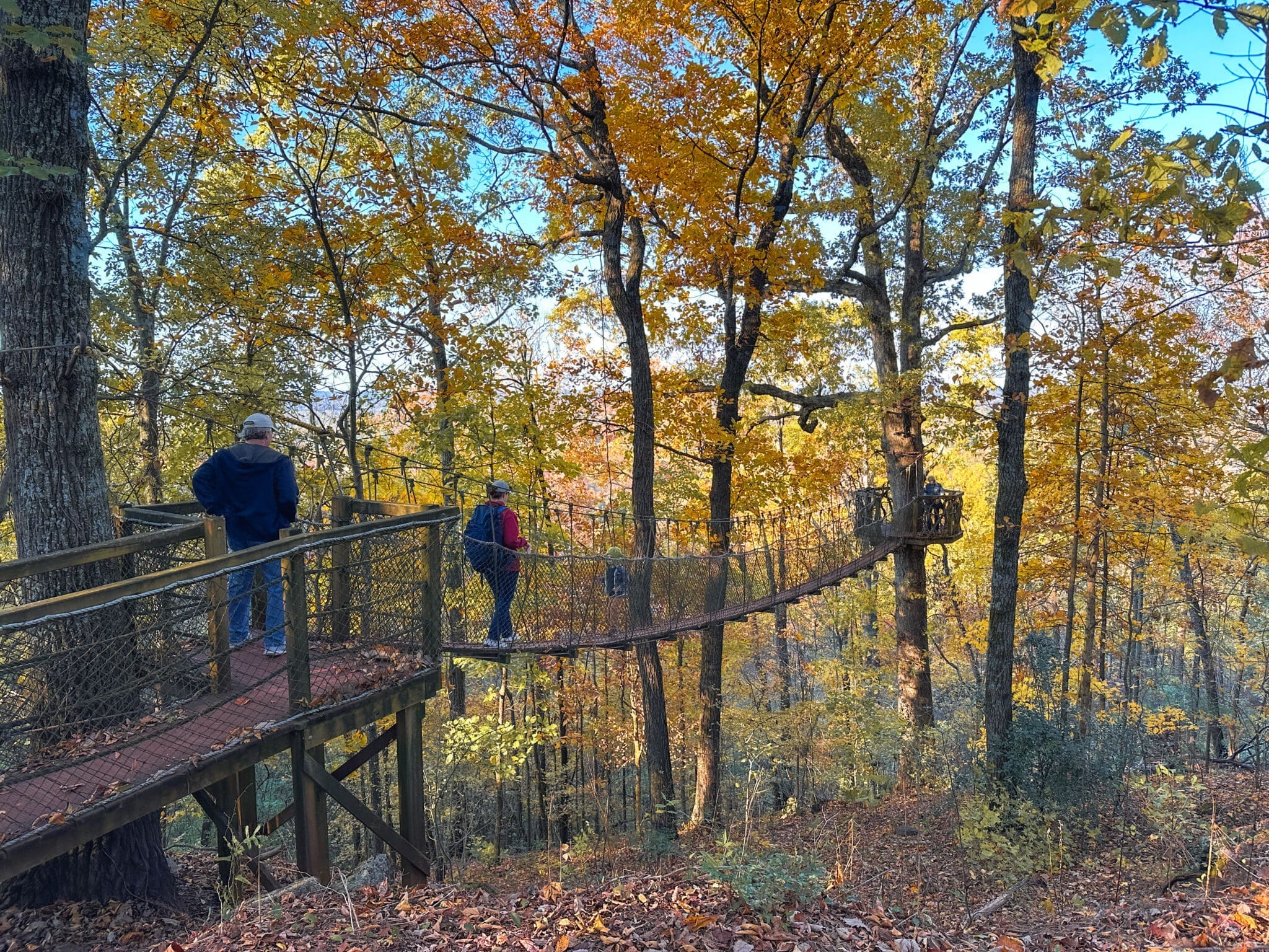 Red Mountain Park: 1,500 Acre Urban Forest | The Alabama Ramble